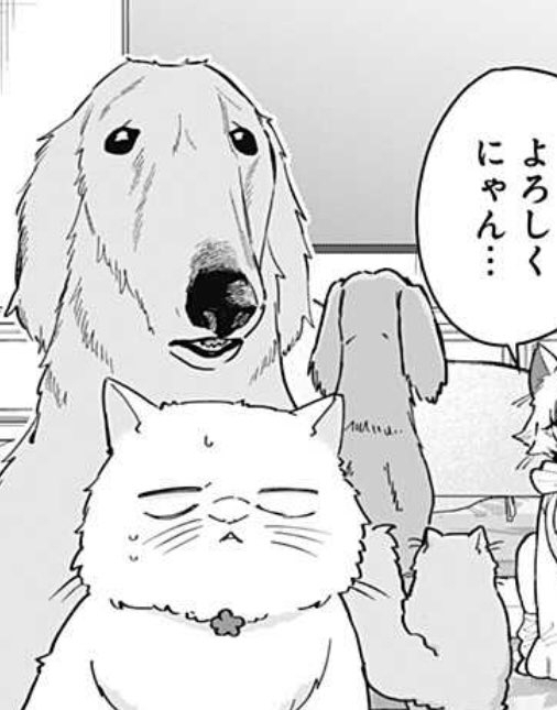 君のことが大大大大大好きな100人の彼女（100カノ）のネタバレ解説・考察まとめ (6/9) - RENOTE [リノート]